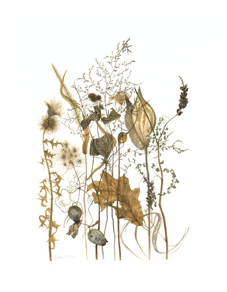 Lynne Railsback Solo Exhibition Through August 20, 2013 – Nature ...
