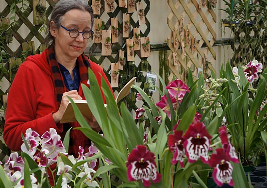 It’s Back to the Tropics for the Nature Artists’ Guild – Nature Artists ...