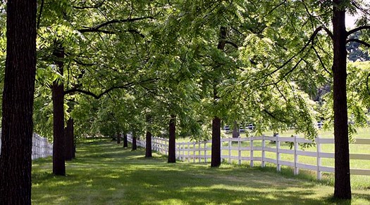 St. James Farm Paint-Out on Tuesday, September 19, 2017 – Nature ...