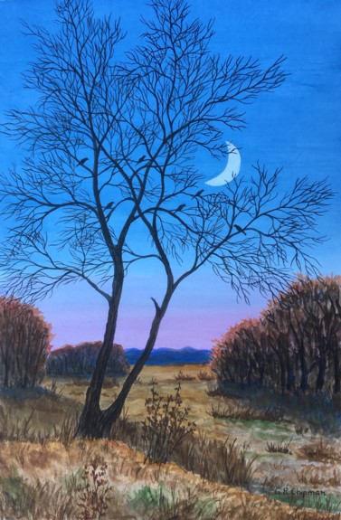 Gary Chipman, Autumn 2018 – Nature Artists' Guild