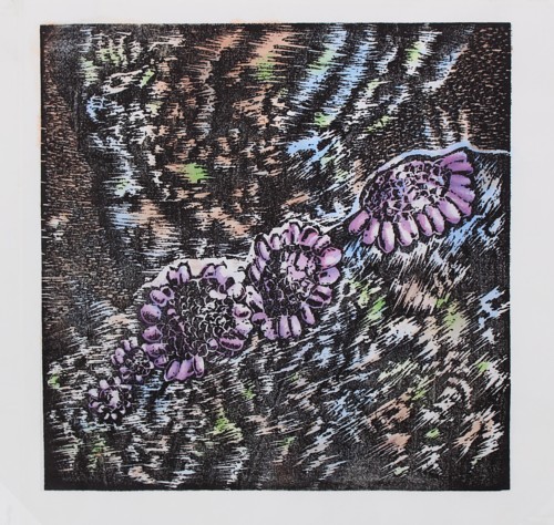 Shingle Urchins, copyright Arlene Widrevitz – Nature Artists' Guild