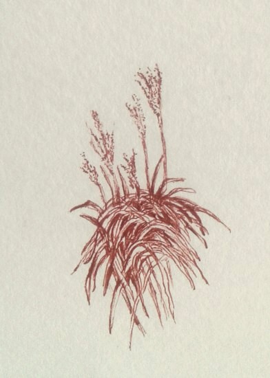 Nature in Ink – Nature Artists' Guild