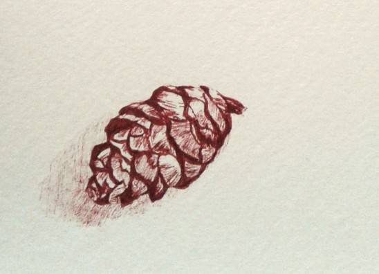 Nature in Ink – Nature Artists' Guild