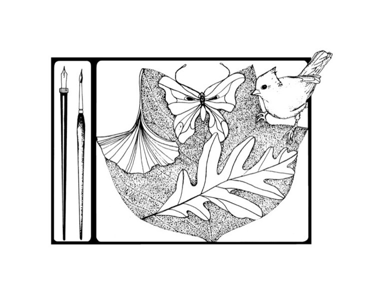 Nature Artists' Guild – Page 4 – 38 Years of Nature Art