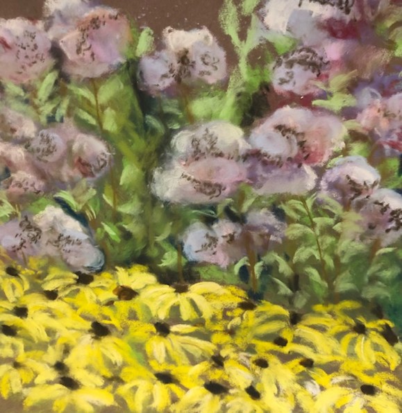 The Schulenberg Prairie’s 60th Anniversary – Nature Artists' Guild