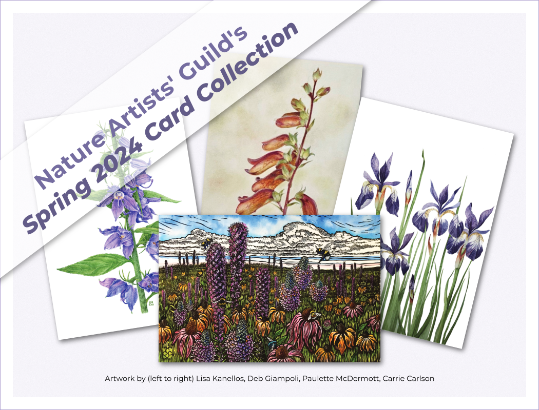 Nature Artists’ Guild Cards at the 2024 Spring Exhibit at The Morton ...